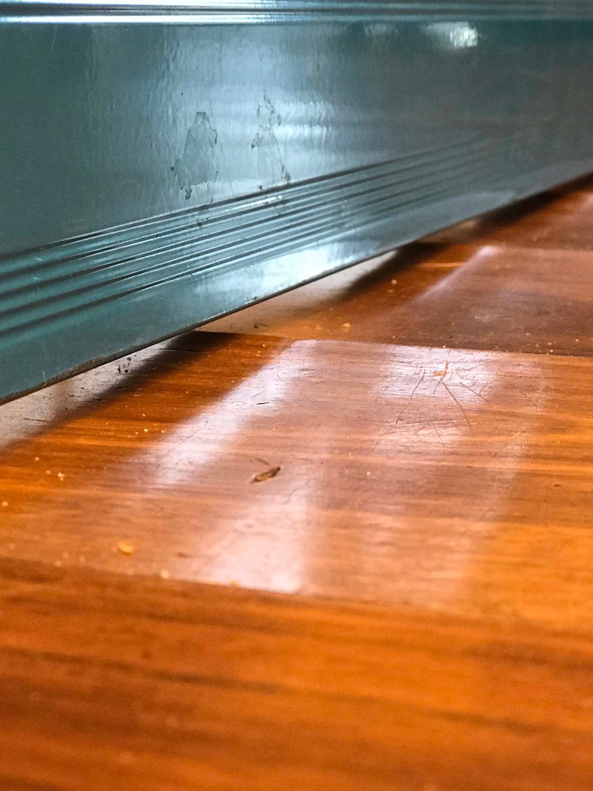 Why Are My Floorboards Warped? - Abacus Flooring
