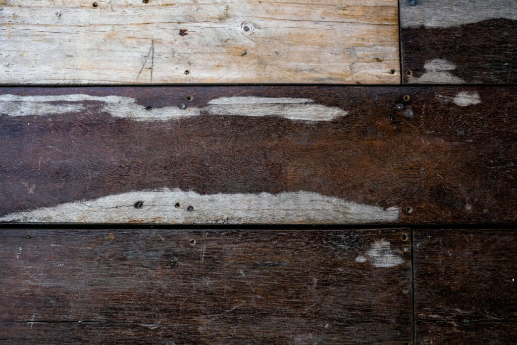How to Fix Damaged Floorboards - Abacus Flooring